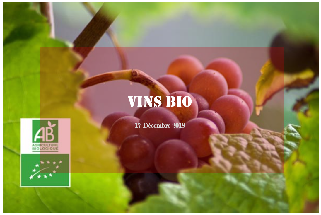 Vins bio - BRASSERIE SIMEON